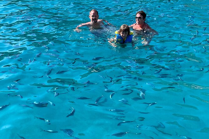 From Sagone/Cargèse: Coves of Piana sea cave Snorkeling - Final Thoughts