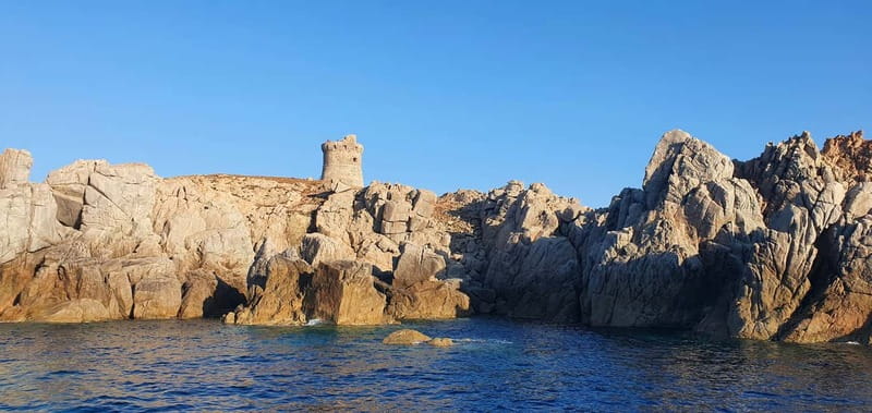 From Sagone/Cargèse: Piana Sea Caves & Snorkeling Boat Tour - Who Will Love This Experience?