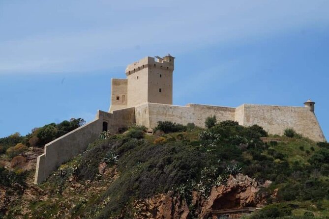 From Sagone/Cargèse: Scandola Calanques Piana Girolata Swimming - Who Will Love This Tour?