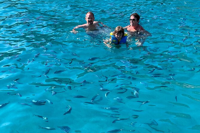 From Sagone/Cargèse: Scandola Girolata Calanques Piana Snorkeling - Protecting the Natural Environment