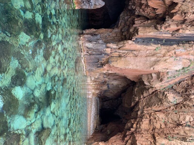 From Sagone: Sightseeing Cruise of Corsica Island - Practical Details and What to Expect