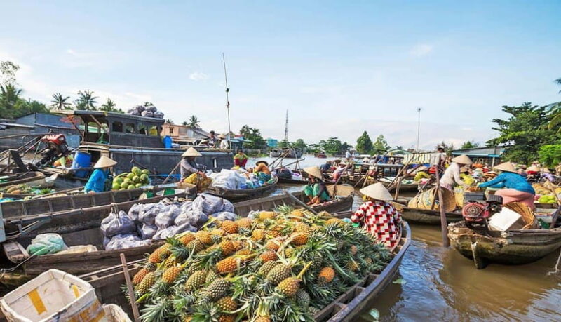 From Saigon: 2-Day Mekong Delta Tour with Floating Market - Final Thoughts