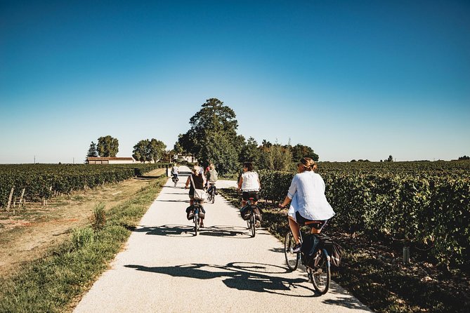 From Saint-Emilion : Electric Bike Day Tour With Wine Tastings and Picnic Lunch - Key Points