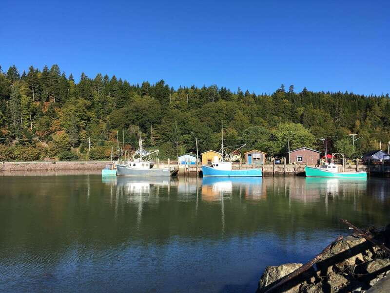 From Saint John: Bay of Fundy Bus Trip for Cruise Passengers - A Detailed Look at the Tour Experience