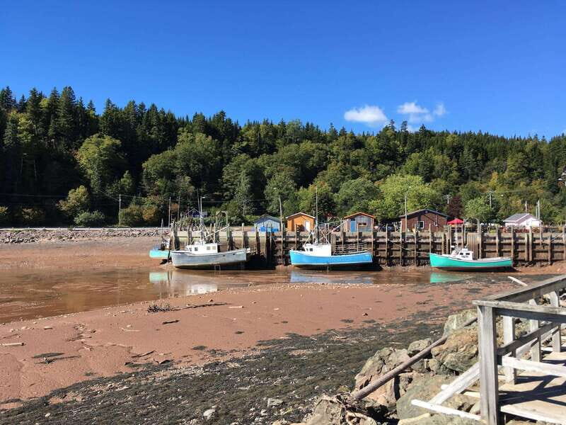From Saint John: Bay of Fundy Bus Trip for Cruise Passengers - Authenticity and Value
