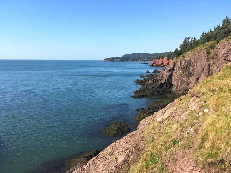From Saint John: Bay of Fundy Bus Trip for Cruise Passengers - The Sum Up