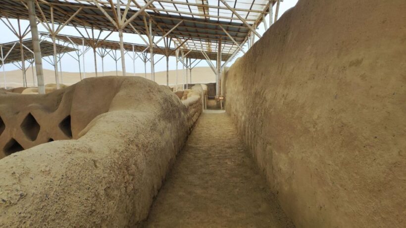 From Salaverry Port: Chan Chan and Ceviche Experience - Who Is This Tour Best For?