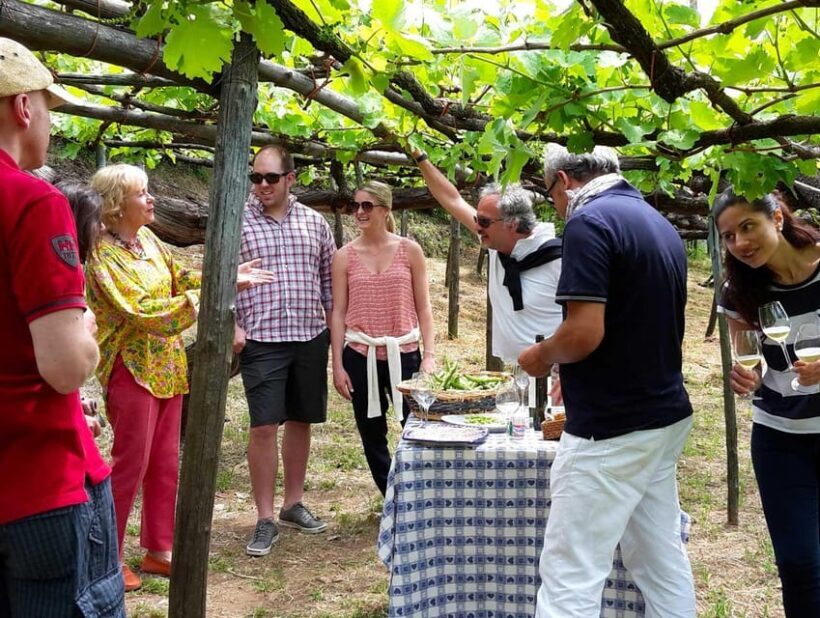 From Salerno: Amalfi Coast Tour and Wine Tasting with Lunch - Key Points