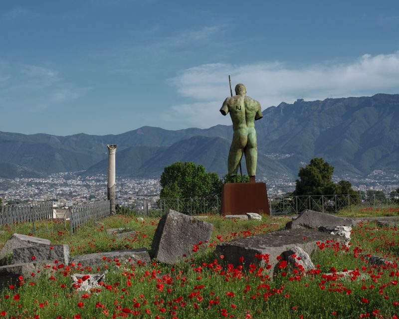 From Salerno: Pompeii Guided Walking Tour with Ticket - Introducing the Salerno to Pompeii Guided Walking Tour