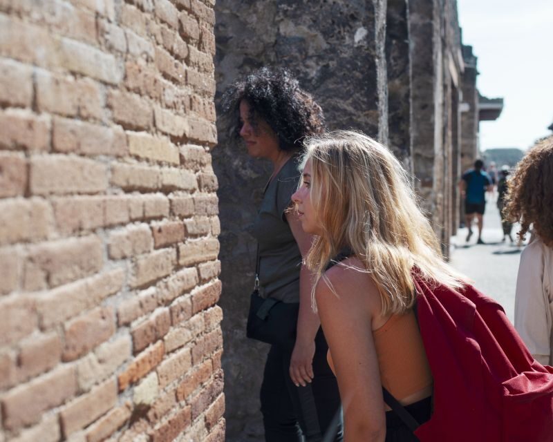 From Salerno: Pompeii Guided Walking Tour with Ticket - Key Points