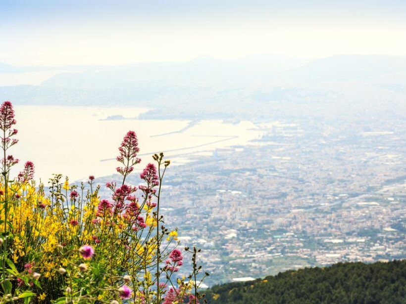 From Salerno: Vesuvius & Pompeii with audioguide - Discovering Vesuvius & Pompeii: A Practical Guide to the Salerno Day Trip