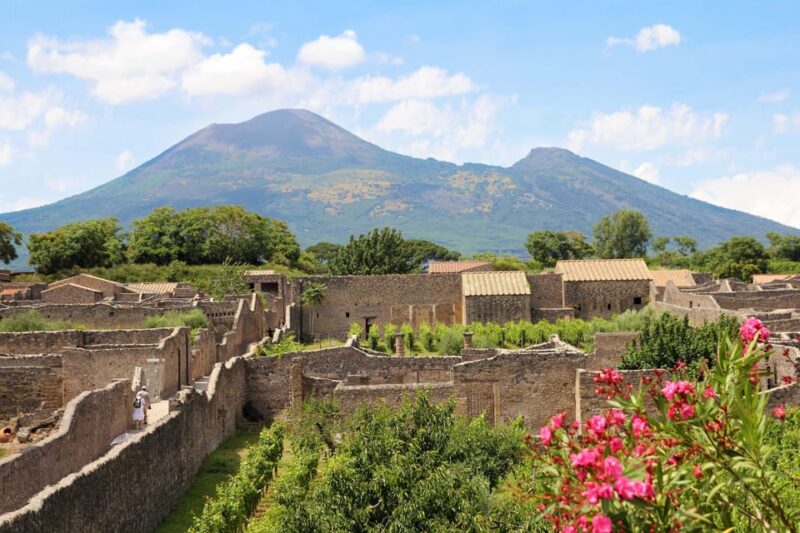From Salerno_Pompeii Express_bus+ skip the line ticket - Exploring the Pompeii Ruins from Salerno: A Practical, Authentic Day Trip