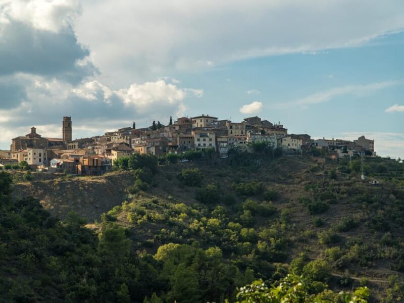 From Salou: 4x4 route from Cornudella to Falset and Gratallops - Practical Details and Value