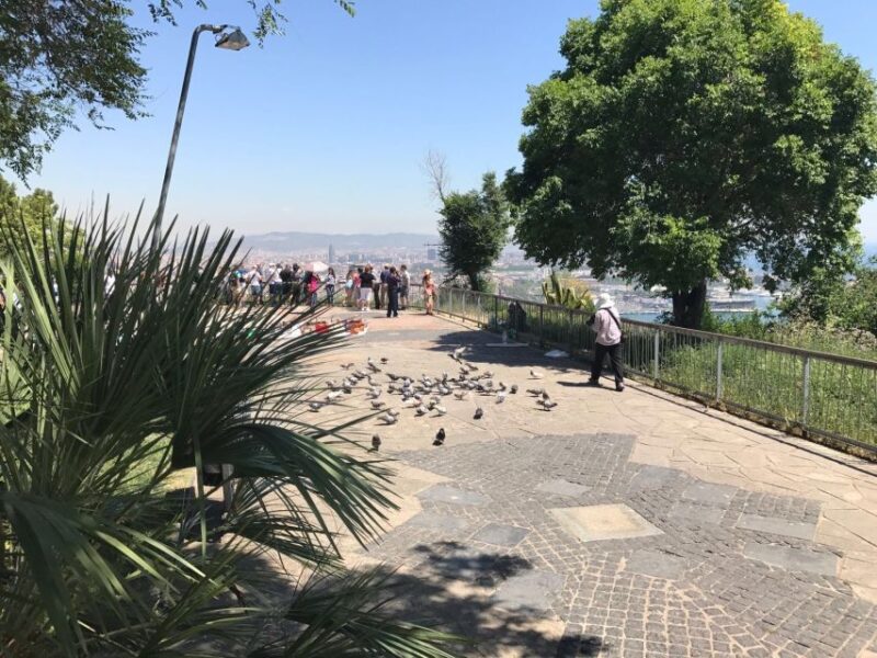 From Salou: Full Day Barcelona Panoramic Tour with Free Time - Why Travelers Rave About This Tour