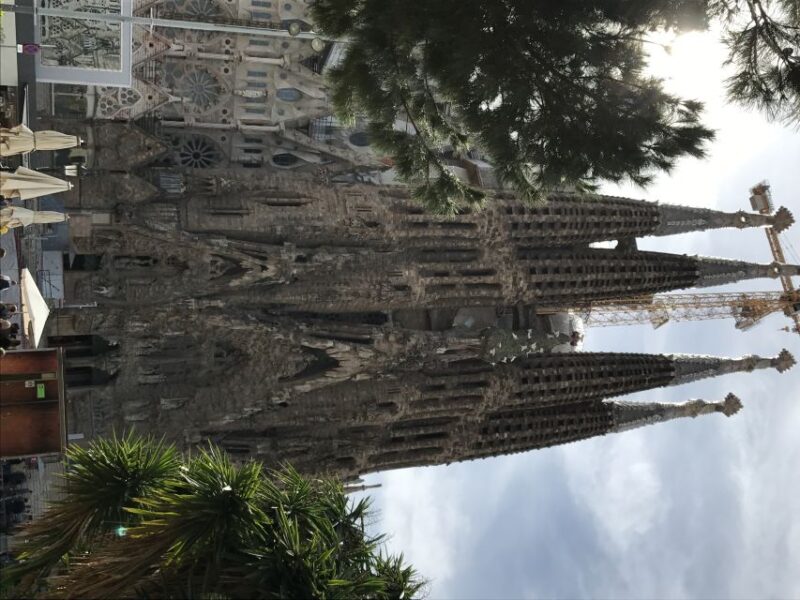 From Salou: Full Day Barcelona Panoramic Tour with Free Time - Who Will Love This Tour?