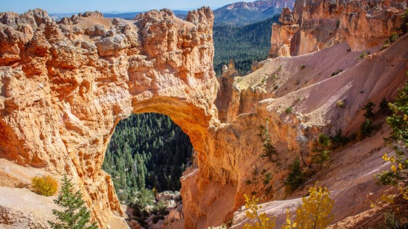 From Salt Lake City: Private Bryce Canyon National Park Tour - What Do Past Travelers Say?