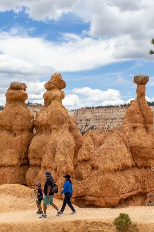 From Salt Lake City: Private Bryce Canyon National Park Tour - The Sum Up