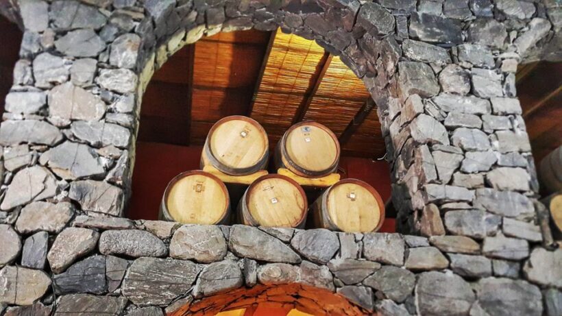 From Salta: Cafayate Day Trip with Wine Tasting - What Travelers Say