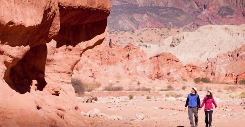 From Salta: Day Trip to Cafayate - Who Will Love This Tour?