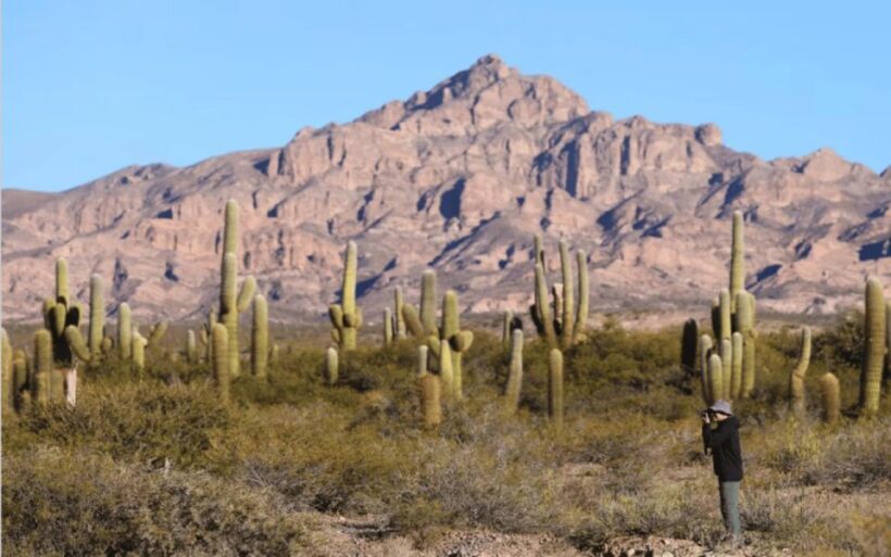 From Salta: Full-day excursions through Cachi and Humahuaca - Final Thoughts: Who Should Consider This Tour?