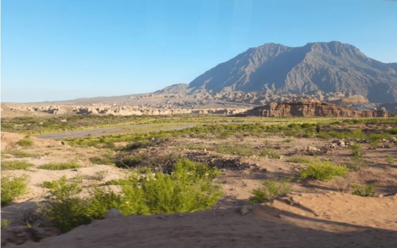 From Salta: Full-day excursions through Cafayate and Cachi - Key Points