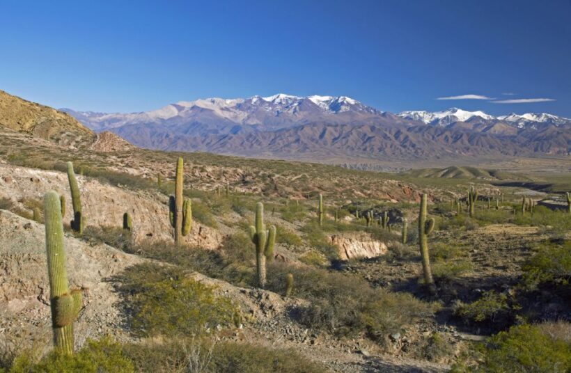 From Salta: Full-Day Scenic Tour to Cachi - FAQ