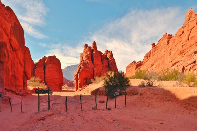 From Salta: Full-Day Tour to Cafayate, Land of Wines - Scenic Highlights and Experiences