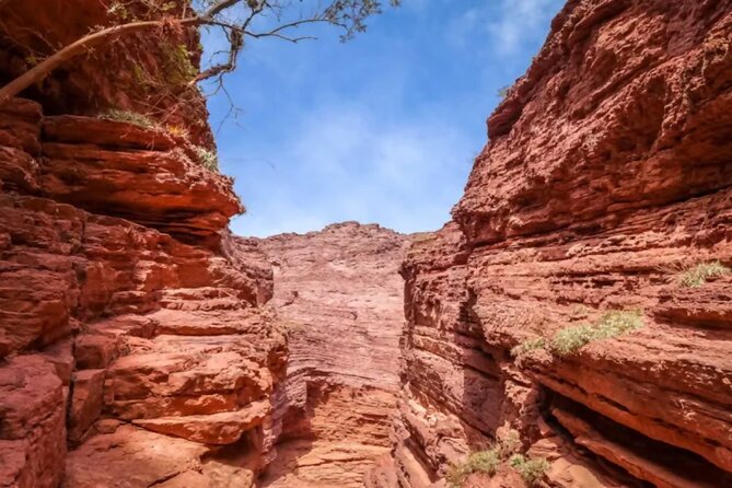 From Salta: Full-Day Tour to Cafayate, Land of Wines - Transportation and Accessibility