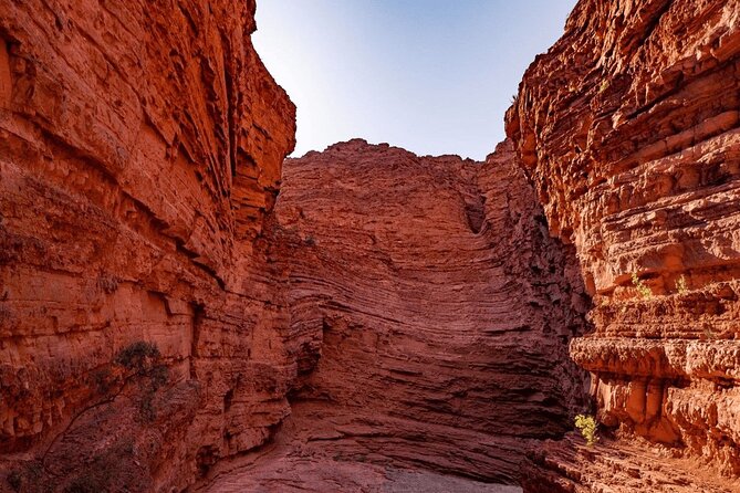 From Salta: Full-Day Tour to Cafayate, Land of Wines - Traveler Feedback and Experiences