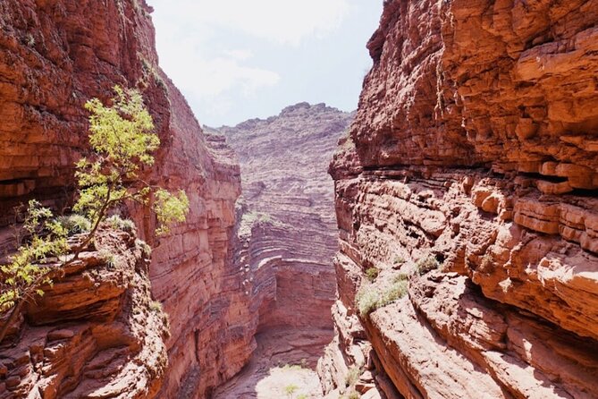 From Salta: Full-Day Tour to Cafayate, Land of Wines - Safety and Conduct Concerns