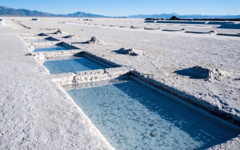 From Salta: Full-Day Tours of Cachi and Salinas Grandes - Key Points