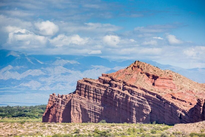 From Salta: Full-Day Wine and Valley Tour to Cafayate - Who Should Consider This Tour?