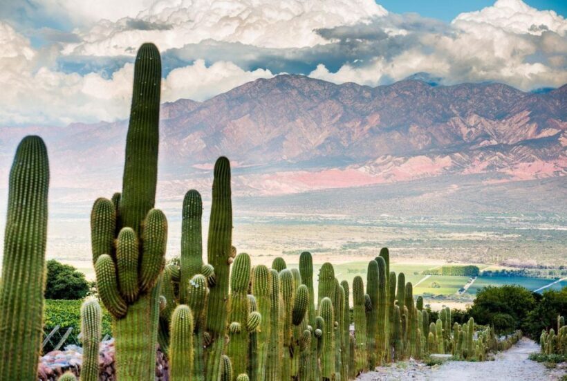From Salta: Full-Day Wine and Valley Tour to Cafayate - FAQ