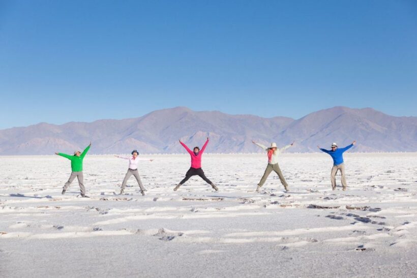 From Salta: Great Salt Flats Day Tour - An In-Depth Look at the Itinerary