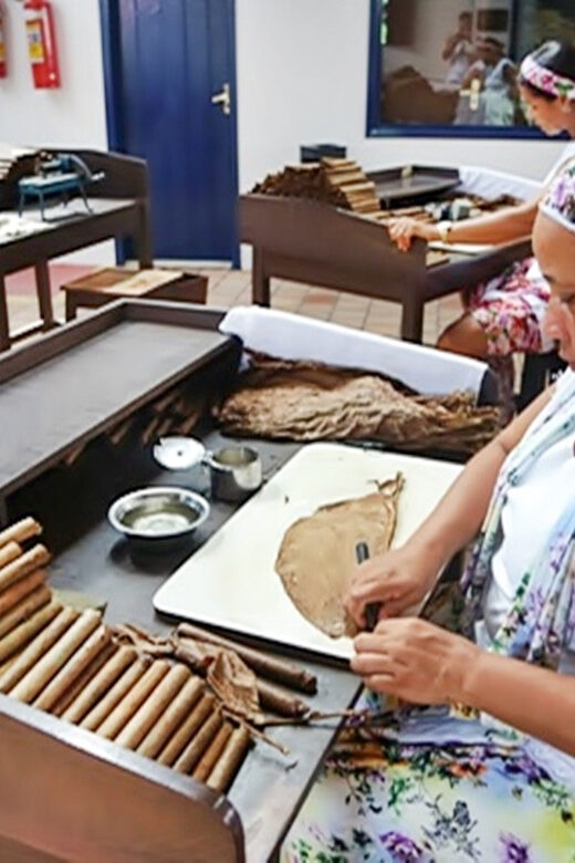 From Salvador: Cachoeira Colonial Town Daytrip - Key Points