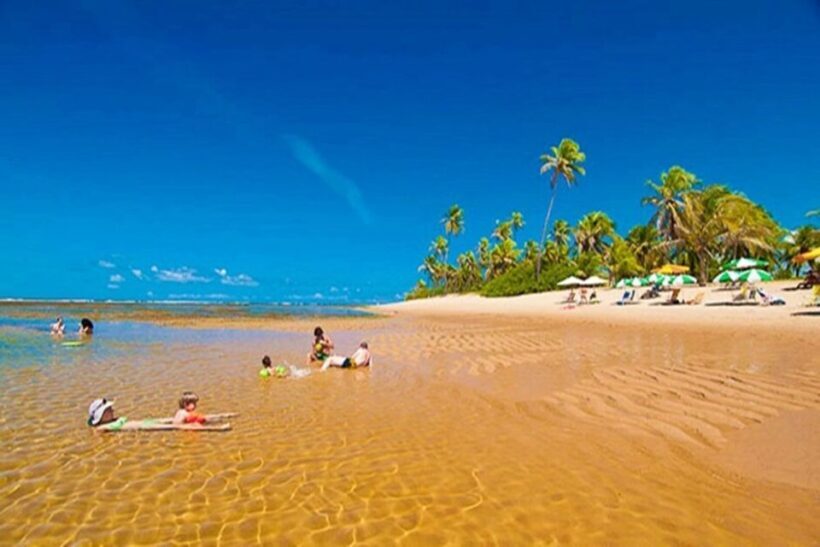 From Salvador: Praia do Forte & Guarajuba Beach Daytrip - FAQ