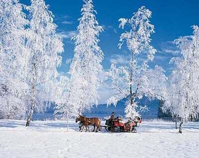 From Salzburg: 8-hour Horse-Drawn Tour w/ 2-hour Sleigh Ride - Introduction