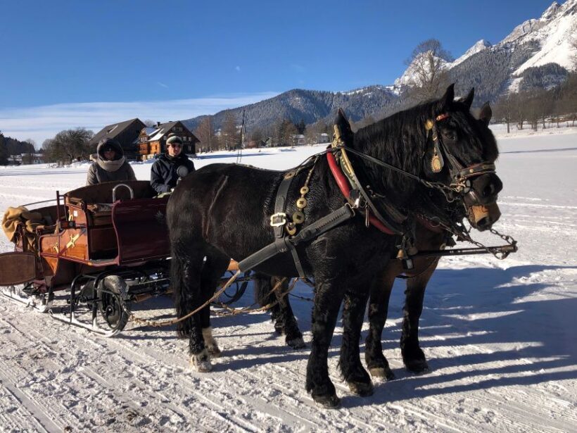From Salzburg: 8-hour Horse-Drawn Tour w/ 2-hour Sleigh Ride - Key Points