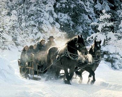 From Salzburg: 8-hour Horse-Drawn Tour w/ 2-hour Sleigh Ride - Authentic Experiences and Traveler Feedback