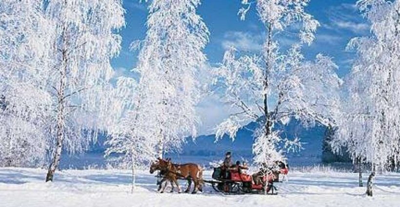 From Salzburg: Romantic Sleigh Ride through the Countryside - Final Thoughts: Is It Worth It?