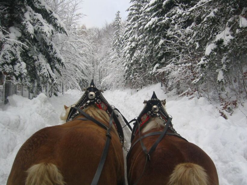 From Salzburg: Romantic Sleigh Ride through the Countryside - FAQs