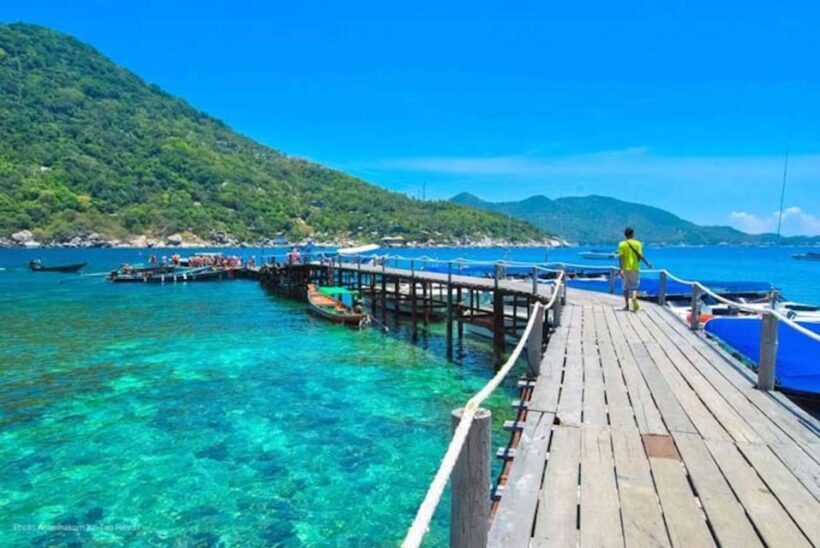 From Samui: Ko Tao and Koh Nang Yuan Speedboat Day Trip - The Itinerary in Detail