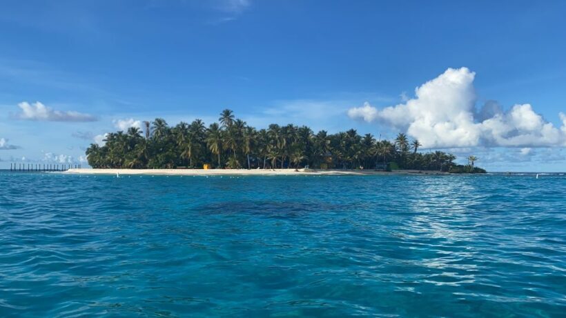 From San Andrés: Speedboat Tour to Johnny Cay Island - What to Expect From the Speedboat Tour to Johnny Cay