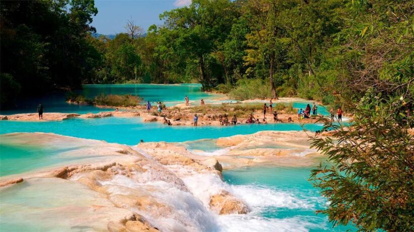 From San Cristóbal: Agua Azul and Palenque Day Trip - An Inside Look at the Tour Experience