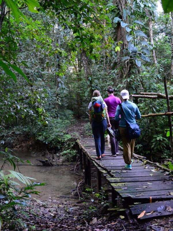 From San Cristóbal: Lacandona Jungle 3 Days Tour - Day 3: Jungle Hike and Waterfalls