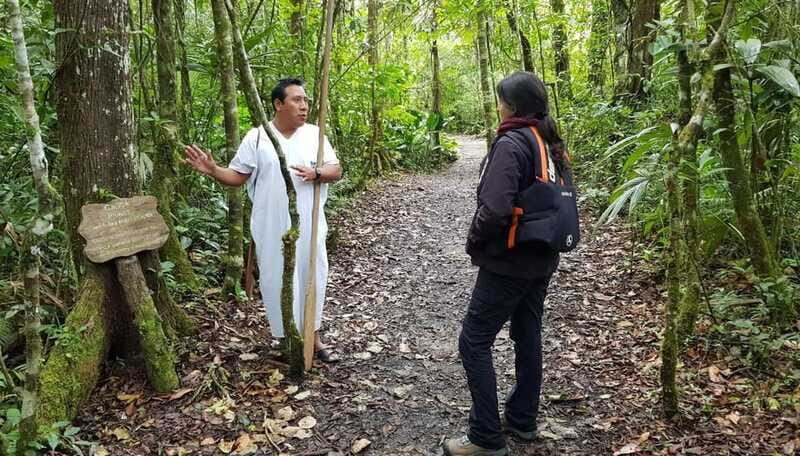 From San Cristóbal: Lacandona Jungle 3 Days Tour - Analyzing the Value