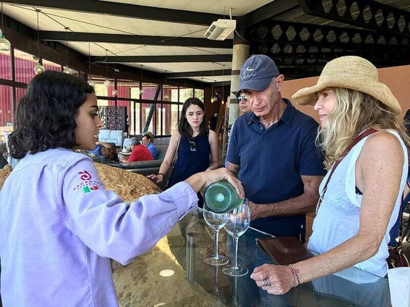 From San Diego: Valle de Guadalupe Private Wine Tasting Tour - The highlight: Lunch at Finca Altozano