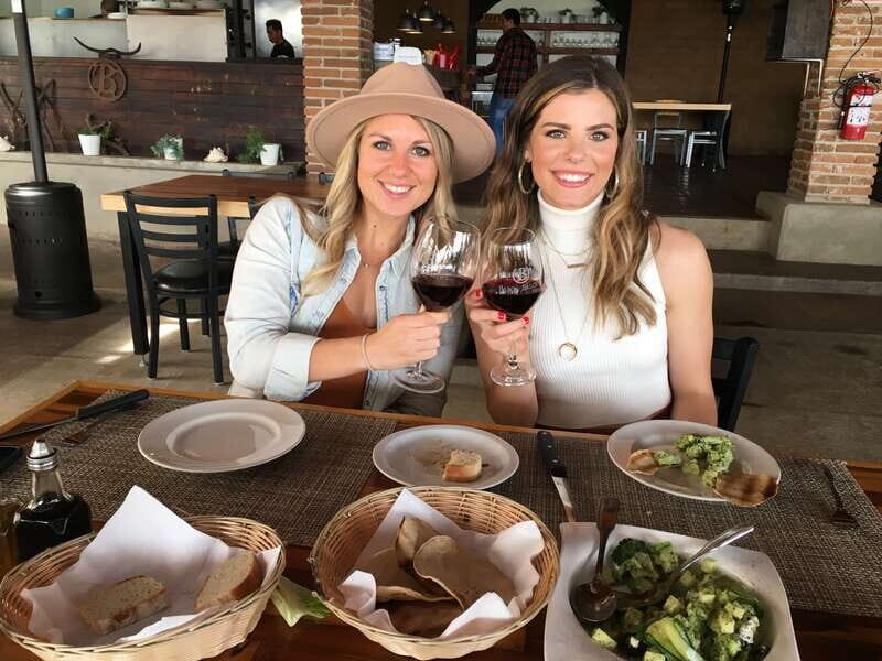 From San Diego: Valle de Guadalupe Private Wine Tasting Tour - Final winery visits and return journey
