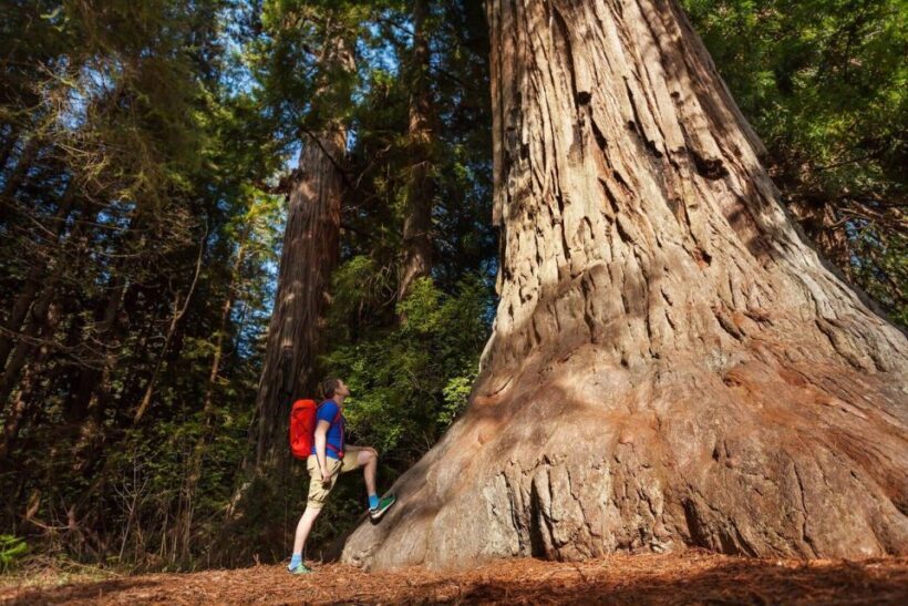 From San Francisco: 2-Day Yosemite Guided Trip with Pickup - FAQ