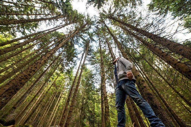 From San Francisco: Alcatraz Island & Guided Muir Woods Tour - Journey Through the Itinerary: What to Expect